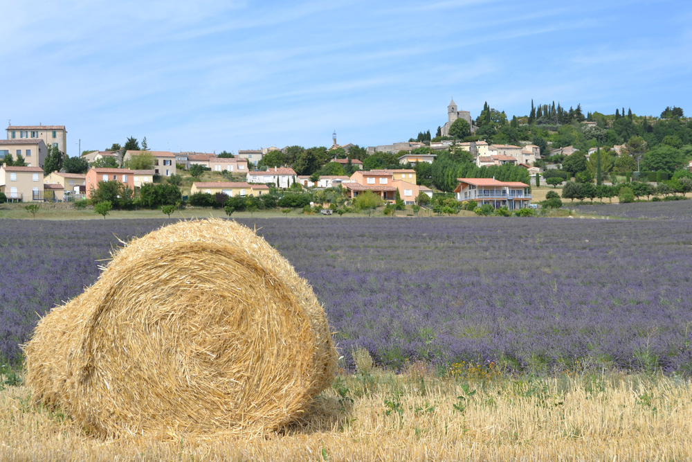 Visiter le Parc Naturel Régional du Luberon